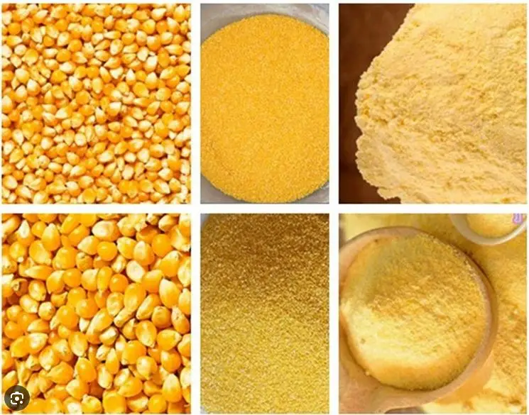 Yellow Corn/maize For Animal Feed / Yellow Corn For Poultry Feed - Buy ...