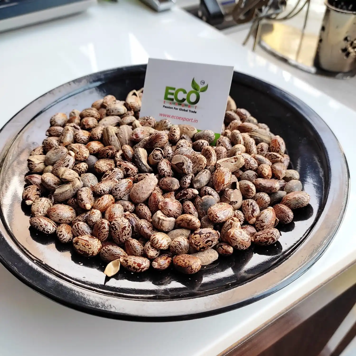 Natural Fresh Brown Castor Indian Origin With High Quality Oil Seed ...