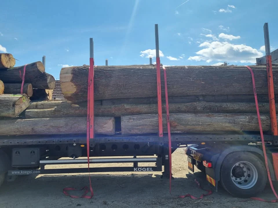 Eucalyptus Wood Log Timber Logs,Pine Wood Timber,Pine Wood Logs Timber ...