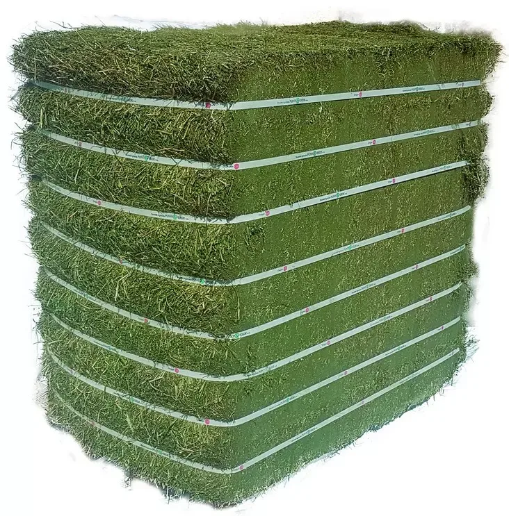 Quality Alfalfa Hay Bays / Alfafa Pellets / Dehydrated Alfalfa Cubes ...
