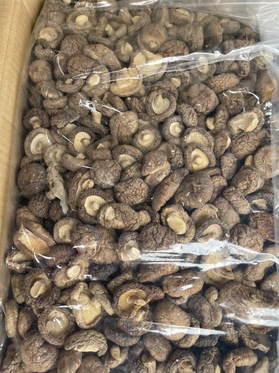 Wholesale Dried Shiitake Mushroom Prices Shiitake Mushroom - Buy ...