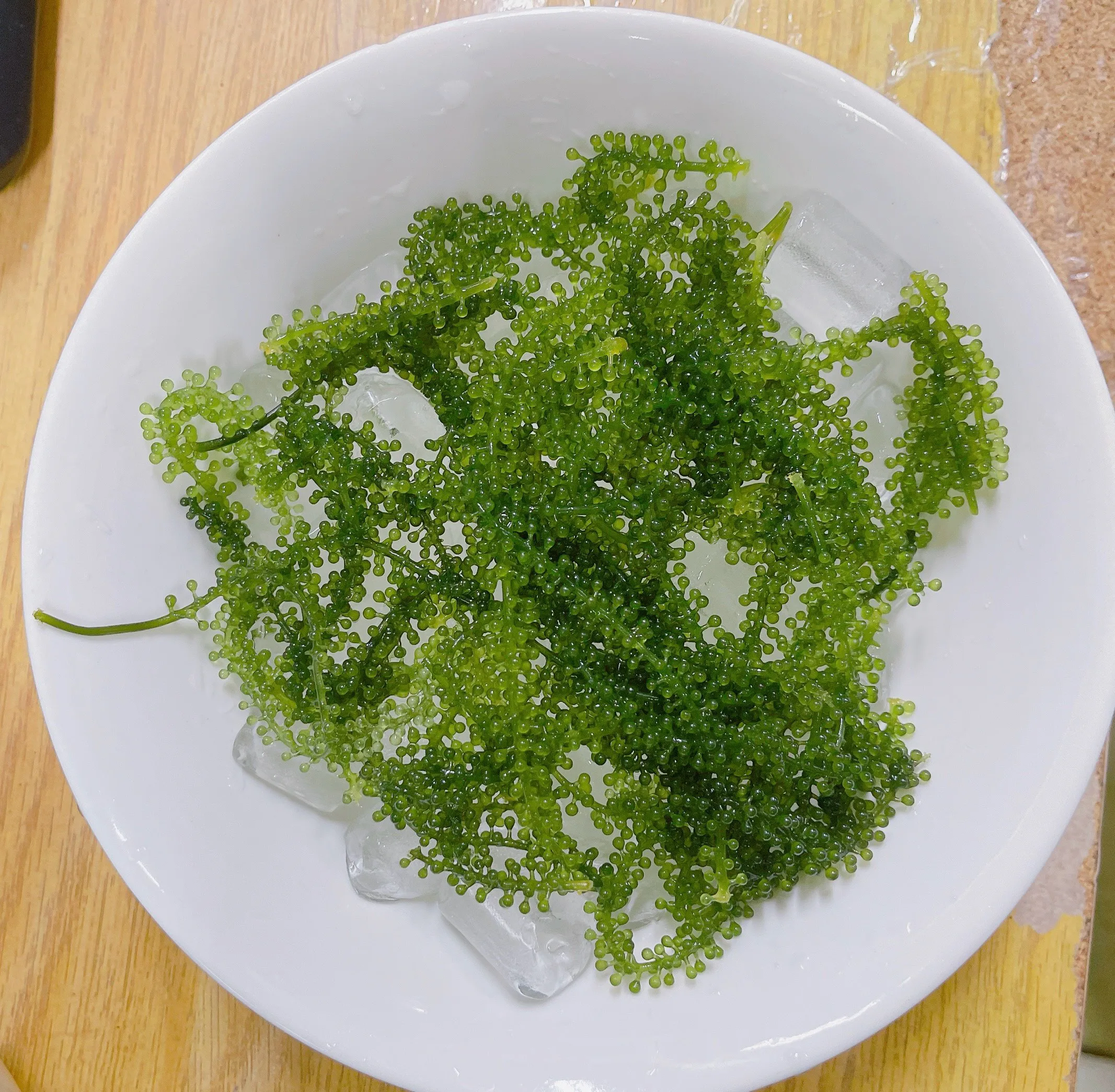 Dehydrated Sea Grapes - Vietnamese Caulerpa Lentillifera
