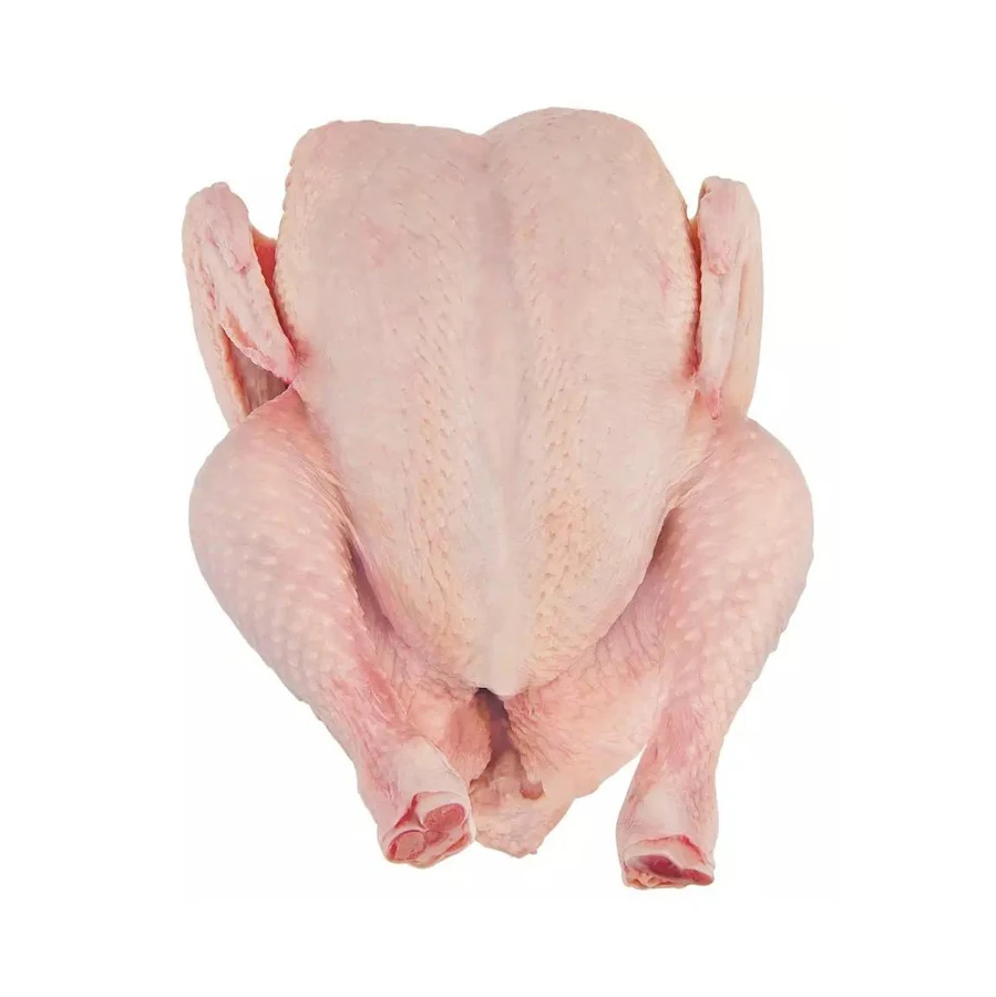 Halal Frozen Fresh Chicken Quality Frozen Whole Halal Chicken And ...