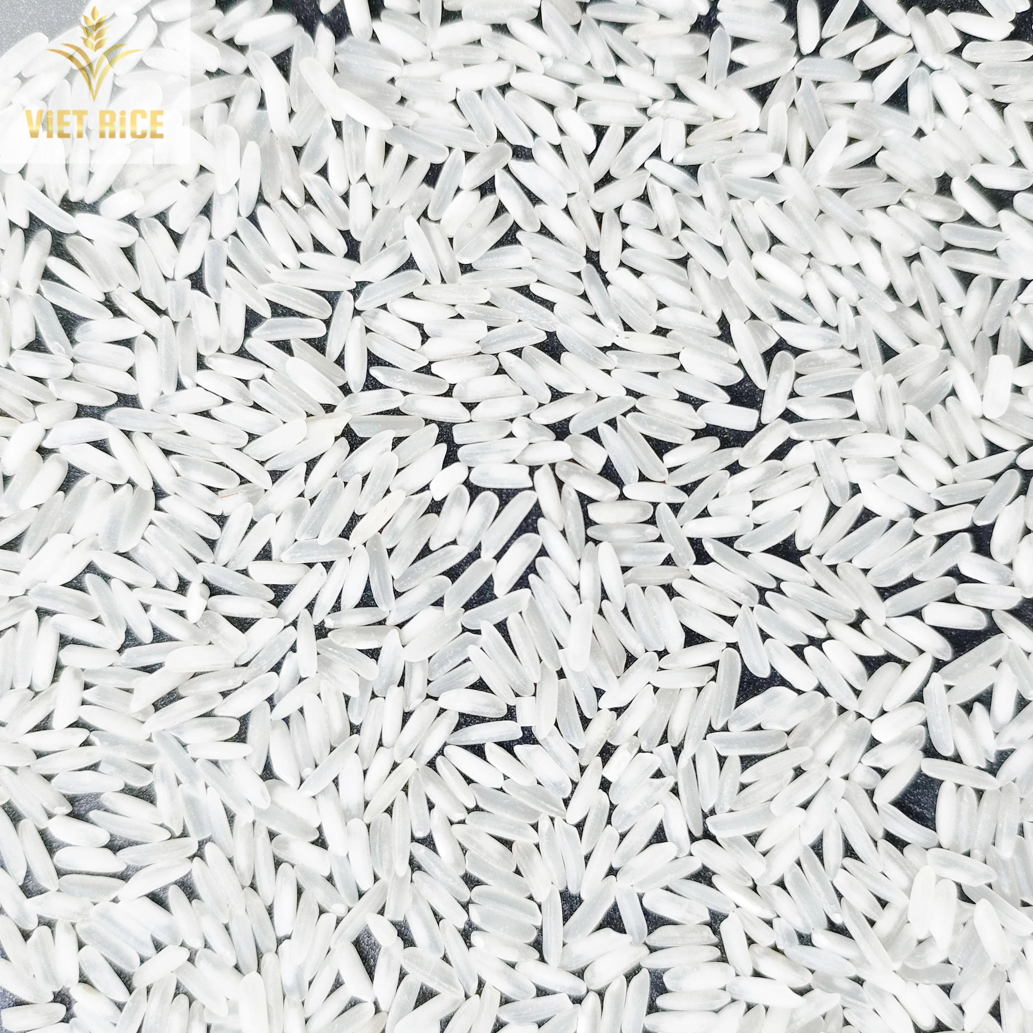 504 Long Grain White Rice 5% Broken From Vietnam Factory For Export ...
