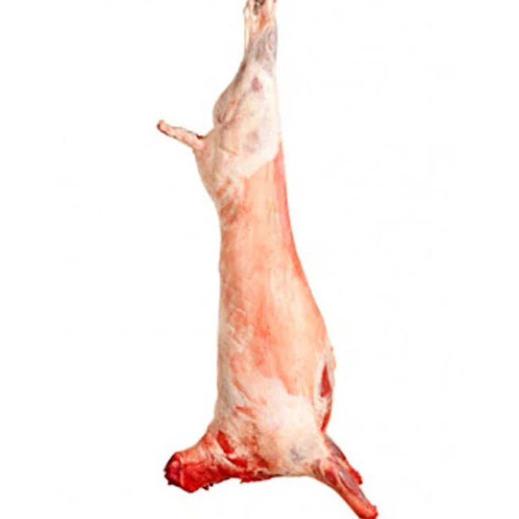 Exclusive Sale On Highest Quality 20kg Halal Grade Whole Mutton Carcass From Top Listed Exporter exclusive-sale-on-highest-quality-20kg-halal-grade-whole-mutton-carcass-from-top-listed-exporter