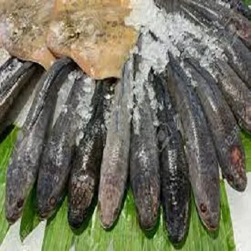 Frozen Snakehead Fish For Sale Pangasius Fillet Vannamei Shrimp - Buy ...