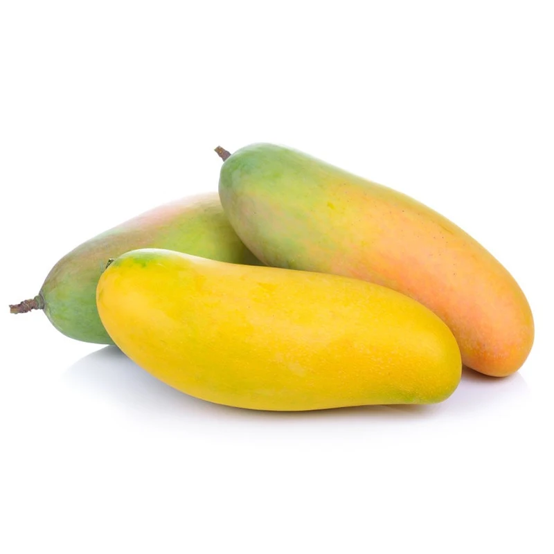Fresh Mango Fruit Ready To Export - Buy Fresh Mango Fruit Fresh Mango ...