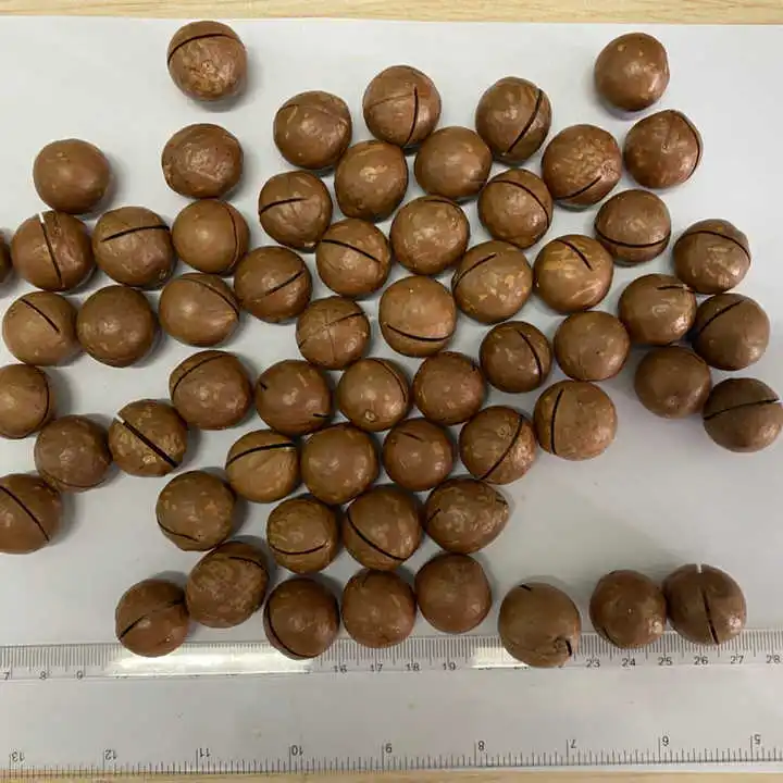 Raw Healthy Food 5kg Bag Dried Roasted Macadamia Da Lat Kernels ...