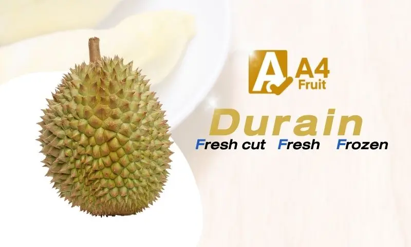 Fresh Cut Durian Fruits For From Thailand Quality Tropical Style Gap ...