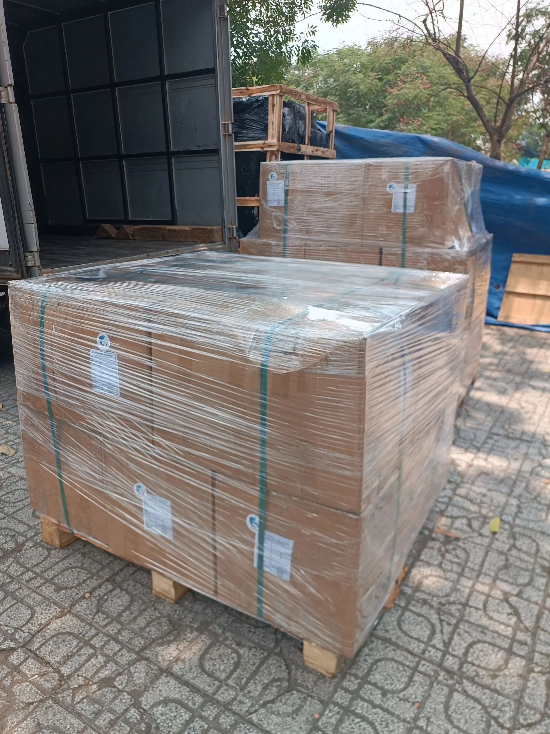 Freeze Dried Fruit Freeze Dried Mango Fd Mango Chips| Alibaba.com