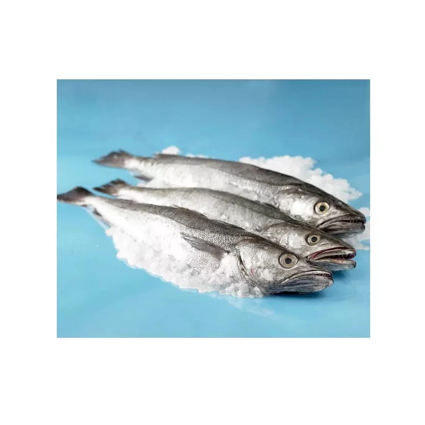 Frozen Hake Fish For Sale - Buy Wholesale Good Quality Frozen Hake Fish ...