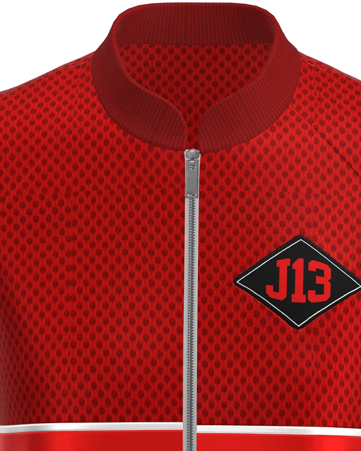 J13 Delta Sigma Theta Dst Panel Mesh Jacket - Buy J13 Delta Sigma Theta ...