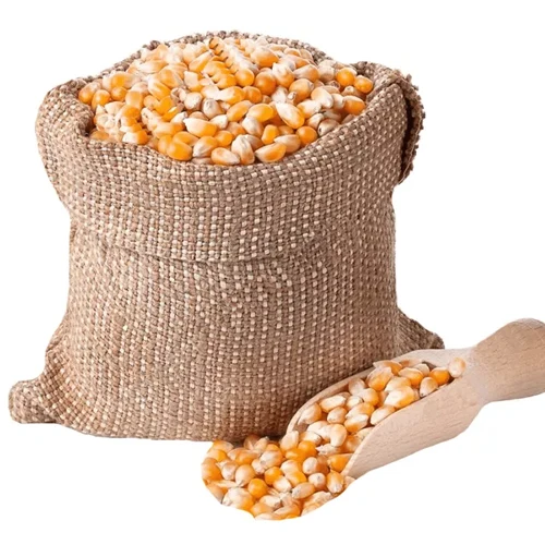 Fresh Yellow Corn White Corn - Buy Corn Pop Corn Machine,Corn Oil Corn ...