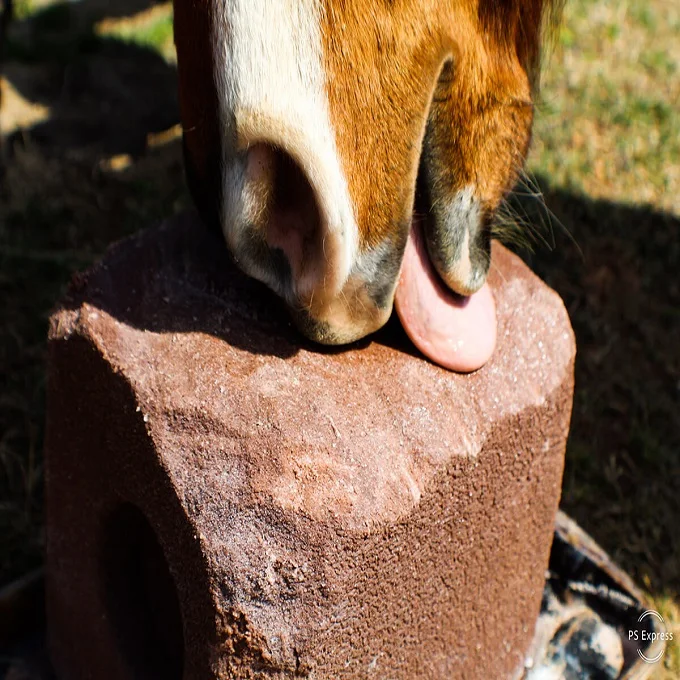 Salt Lick Animal Licking Himalayan Pink Salt/ Wholesale Natural Pure ...