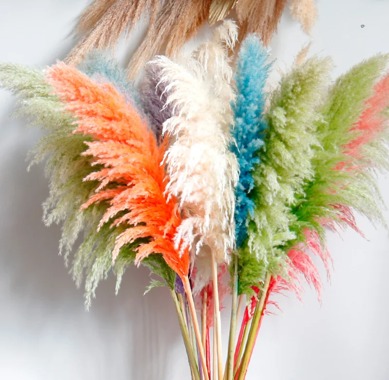 Custom Red Pink Blue Dry Pampas Grass High Quality Dried Flowers For ...