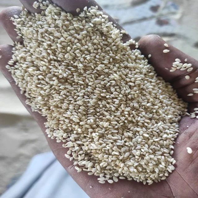 White Sesame Seeds Hulled,Organic & Conventional,New Season 2023 ...