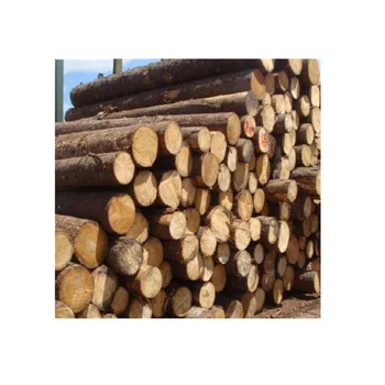 Wholesale Pine Wood 2x4 Lumber Kayu Pinus Square Solid Wood Planks 2 X ...