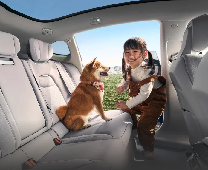 Hozon Nezha Neta S Aya V U X Gt Electric Car 2023 2024 Lite Payfun ...