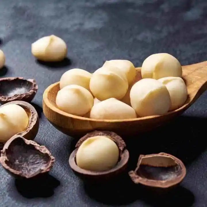 Macadamia Nuts Bag Packaging Vietnam Round a Grade Raw Macadamia Nut ...