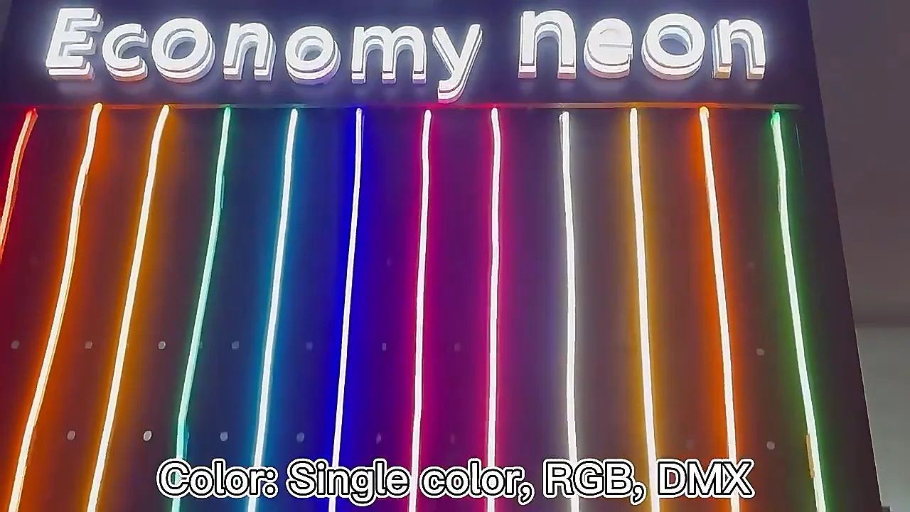 Silicon Neon Light 12v 24v Dc Neon Flex Strips 120 Led/ M 6*12mm ...