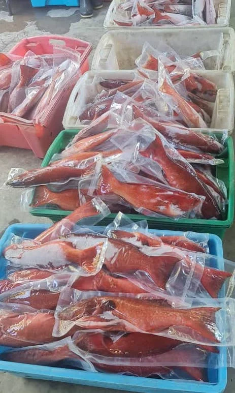 Super Quality Frozen Seafood Malaysia Grouper Coral Trout Chinese Food ...