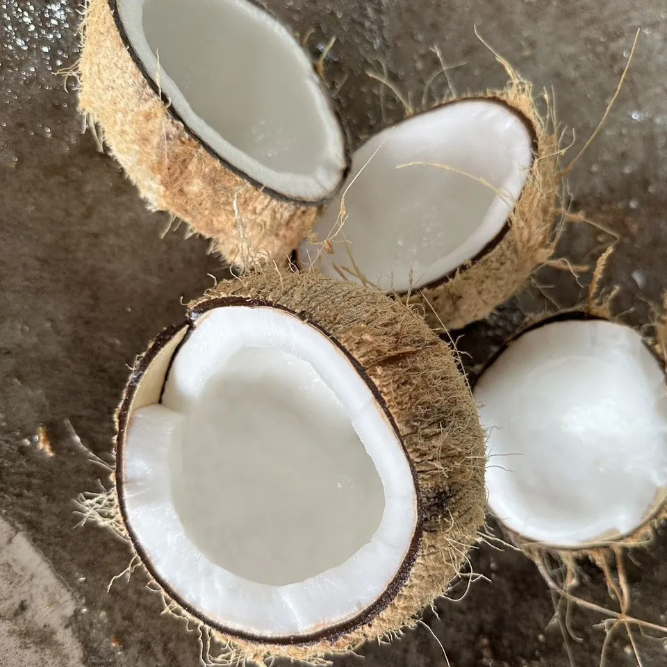 Fresh And Affordable Wholesale Semi-husked Coconuts From Vietnam ...