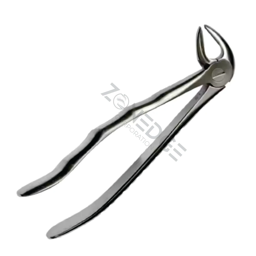 Curved Lower Molar Extraction Dental Forceps Heavy Stainless Steel ...