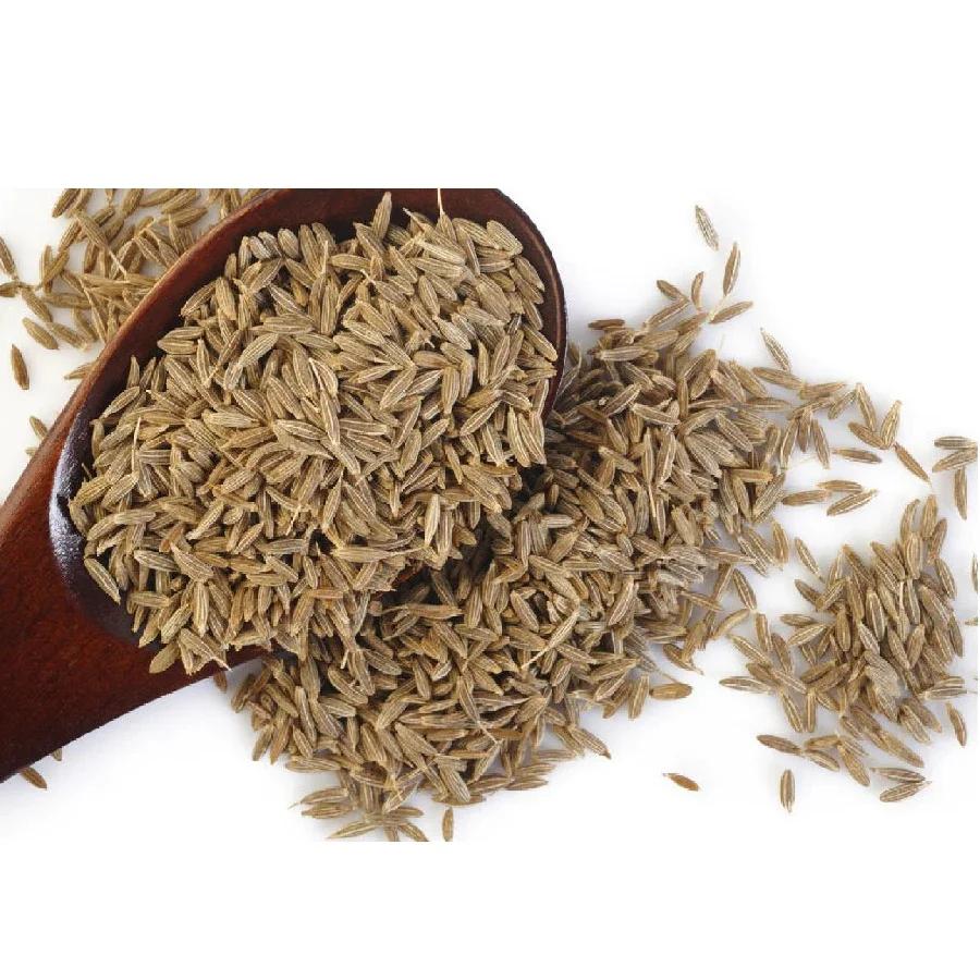 High Quality Indian Cumin Dried Spices & Herbs Products Seasonings ...