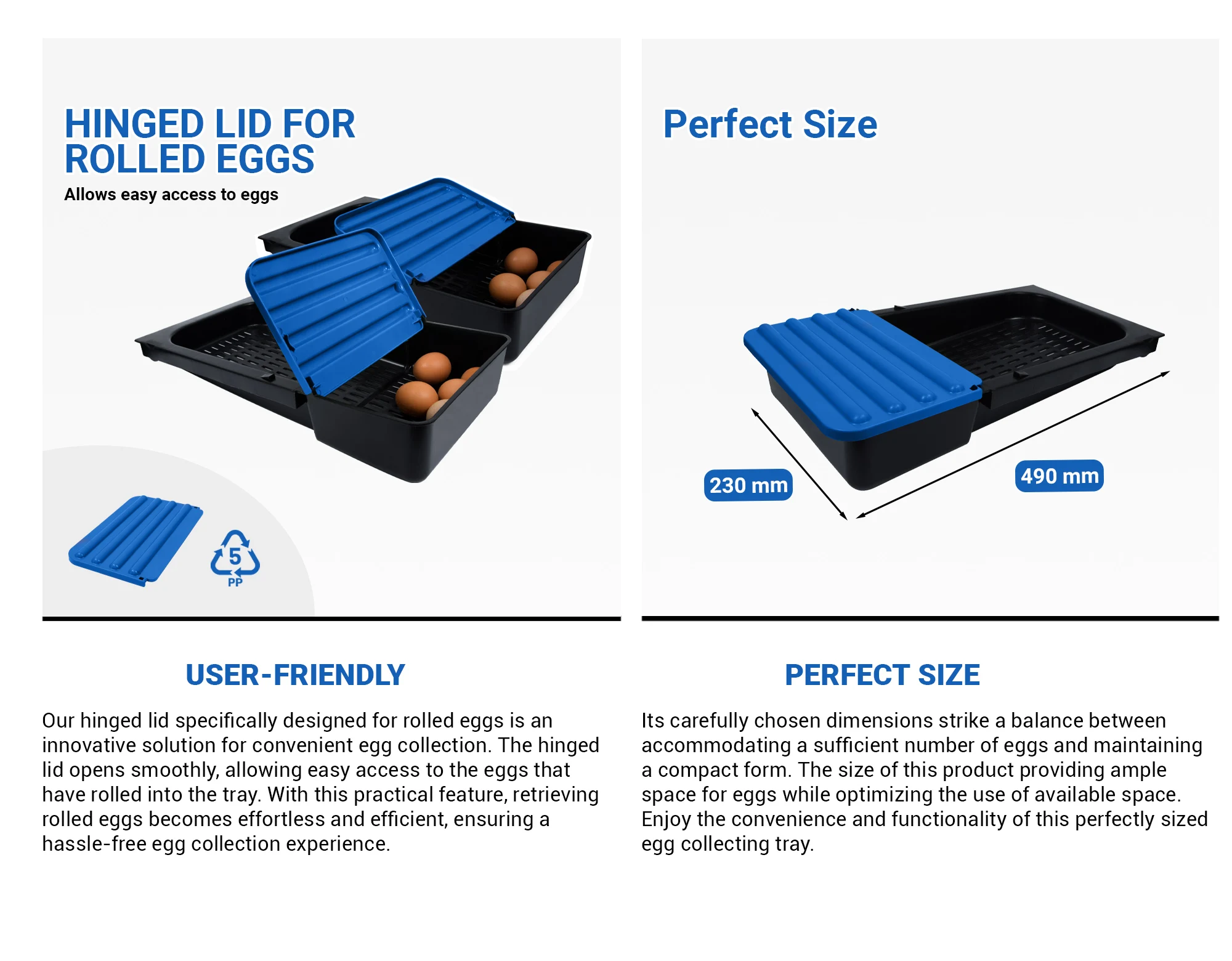 Innovative Egg Collecting Tray For Chicken Laying Nest Box Blue Color ...