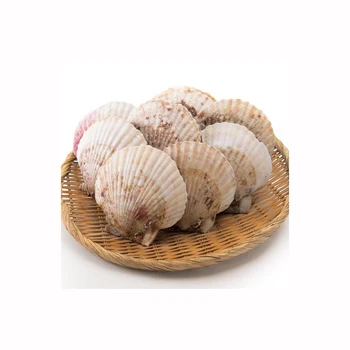 Seafood Snacks Scallop Meat Shellfish Without Shell Frozen Scallop Meat ...
