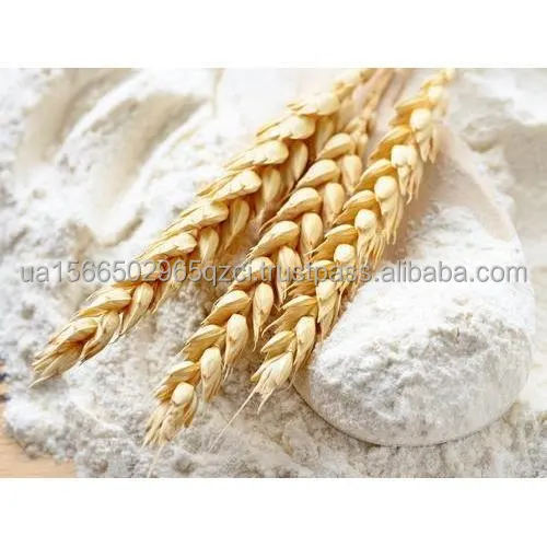 All Purpose Wheat Flour from Ukraine - 24 Month Shelf Life