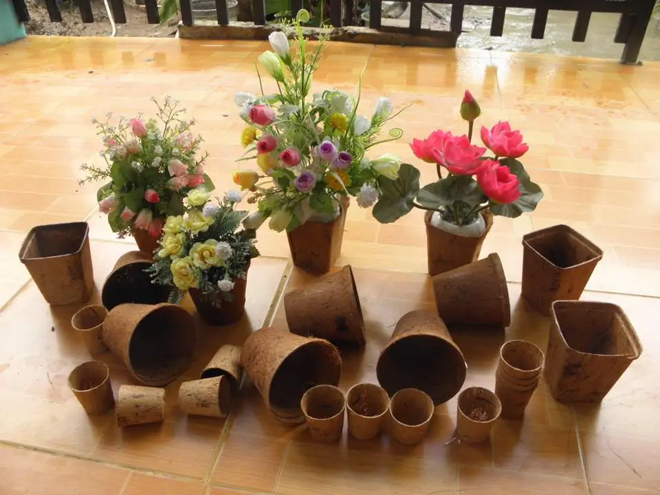 Wholesale Coconut Coir Pot Seed Starter Nursery Compostable ...