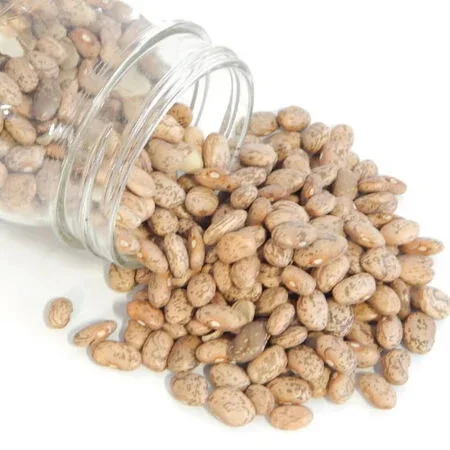 High Quality Mottled Pinto Beans in Bulk Packaging| Alibaba.com