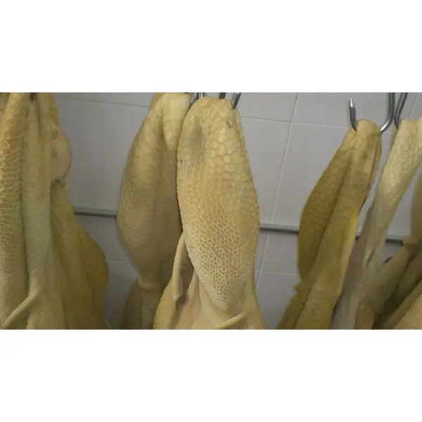 Tripe Supply Frozen Honeycomb Beef Tripe - Buy Beef Tripe For Sale ...