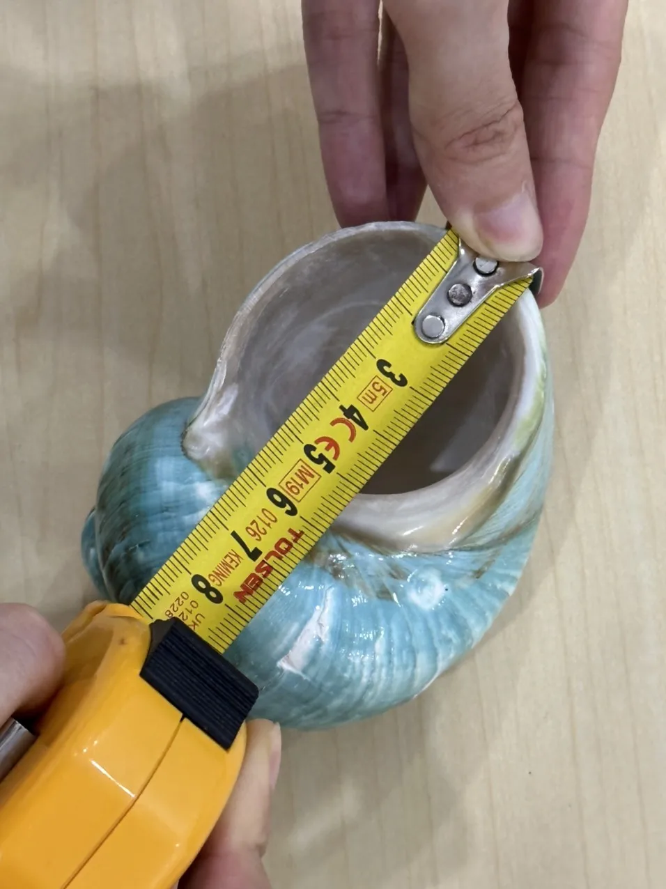 Big Size Hermit Crab Sea Shell - Green Mother of PEARL