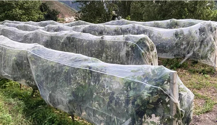 Agriculture Polyethylene Insect 40 Mesh Net Greenhouse Net for Tree ...