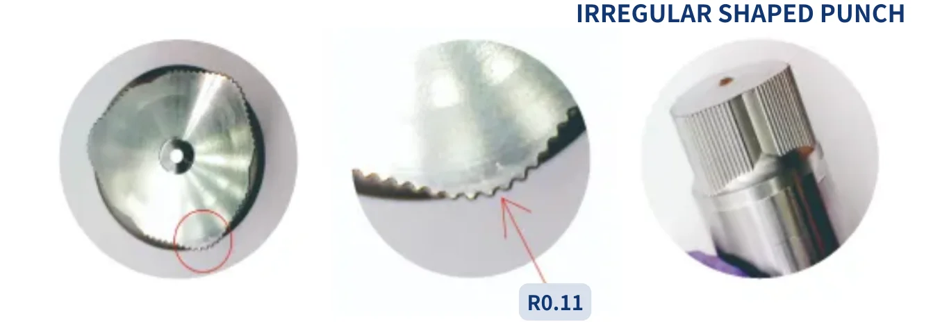 Diverse Shaped Punch from Taiwan CNC Machine with Carbide Material