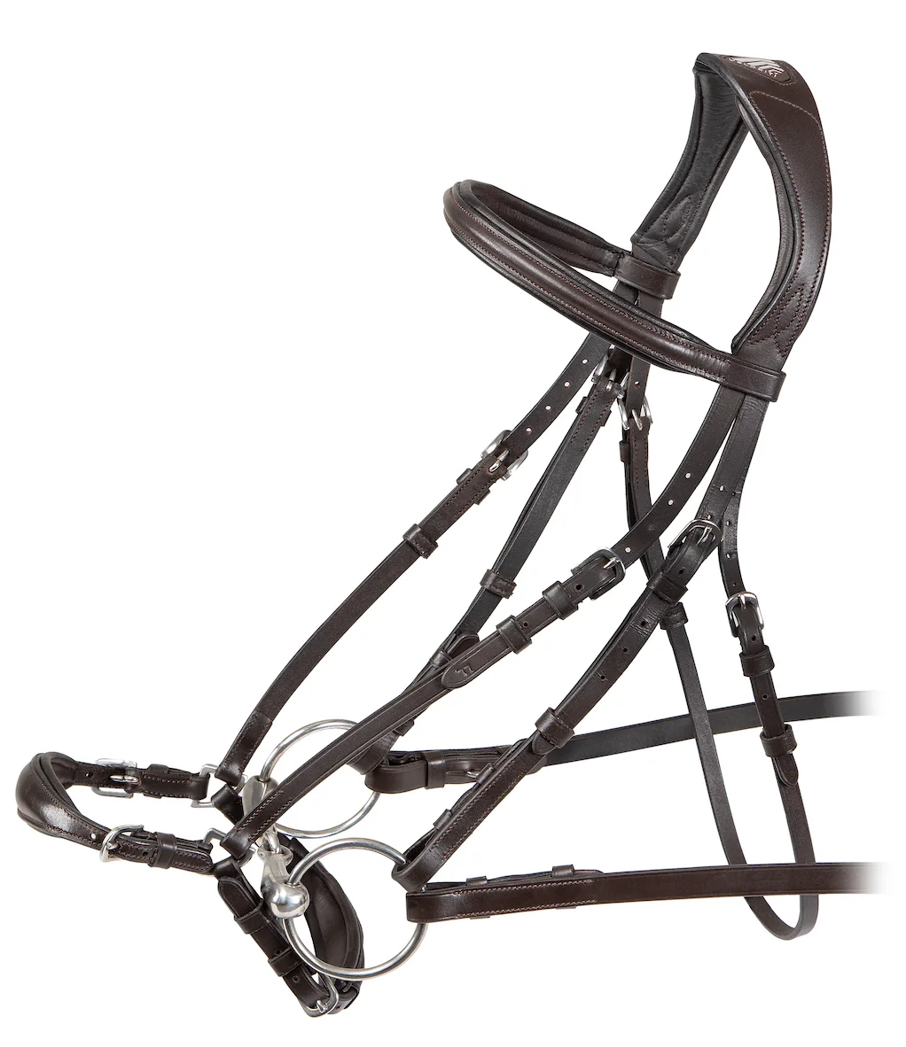 Drop Noseband Bridle Hot Multi Color Genuine Leather Horse Bridle Size ...