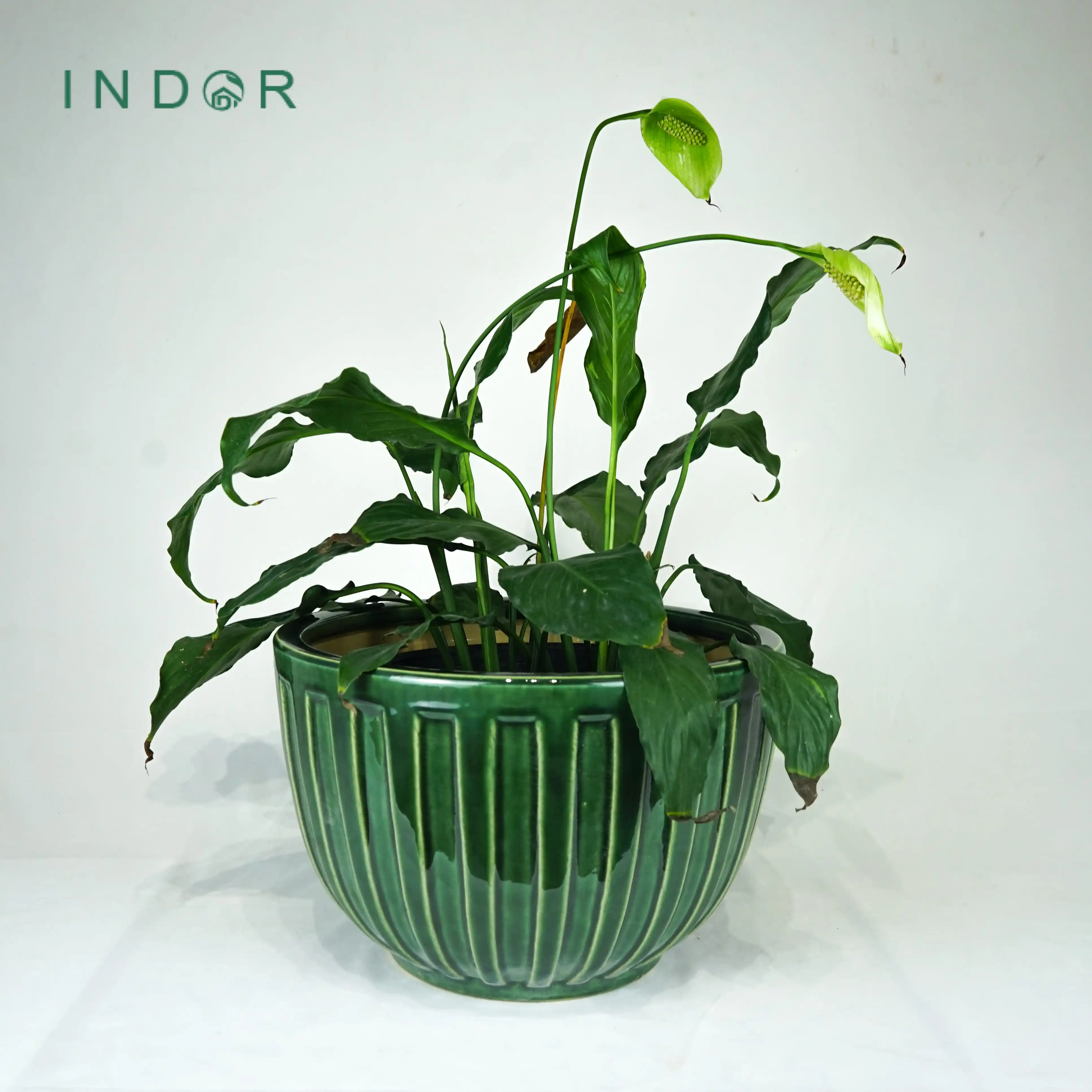 Home And Garden Supplies Glazed Ceramic Collection Floor Boughpot ...