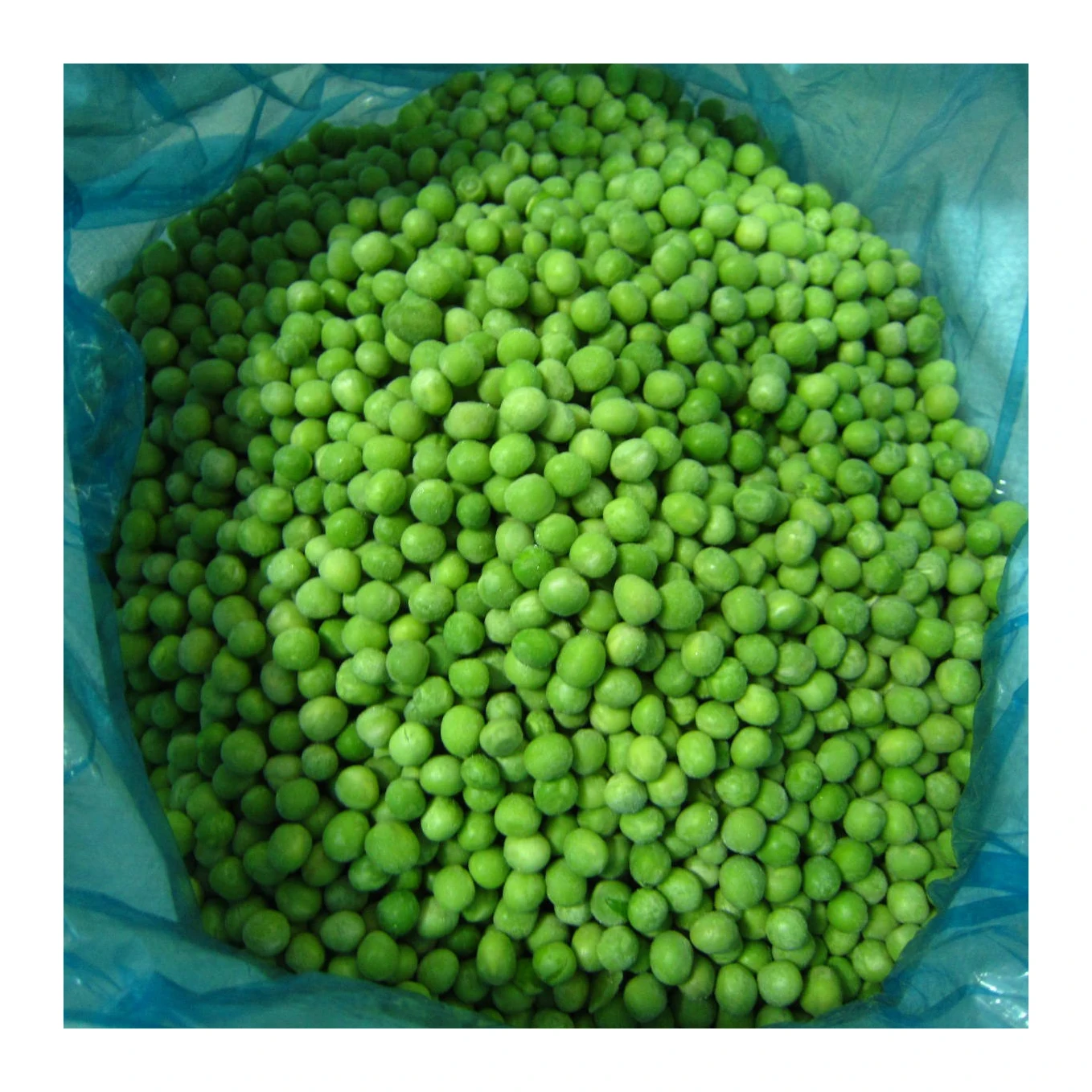 Top Quality Dried Whole Pigeon Peas Wholesale Hot Selling Best Price ...