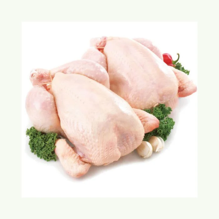 Halal Frozen Chicken Breast And Whole Frozen Chicken Box Style ...