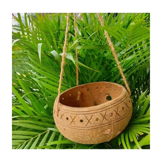 Eco-Friendly Coco Shell Hanging Pots - Minimalist Brown Coconut Flower ...
