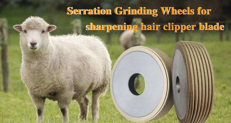 Operation of Serration Grinding Wheels for Sharpening Knife Blades and ...