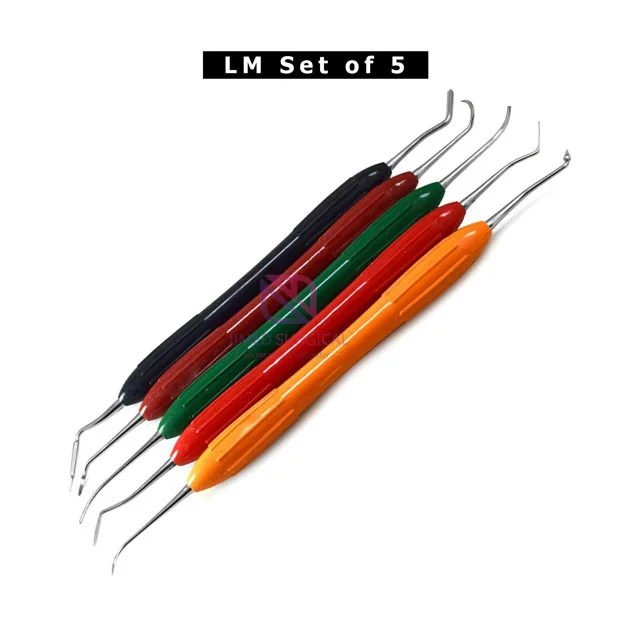 Lm Dental Composite Filling Instruments Set Of 5 With Silicon Handle By ...