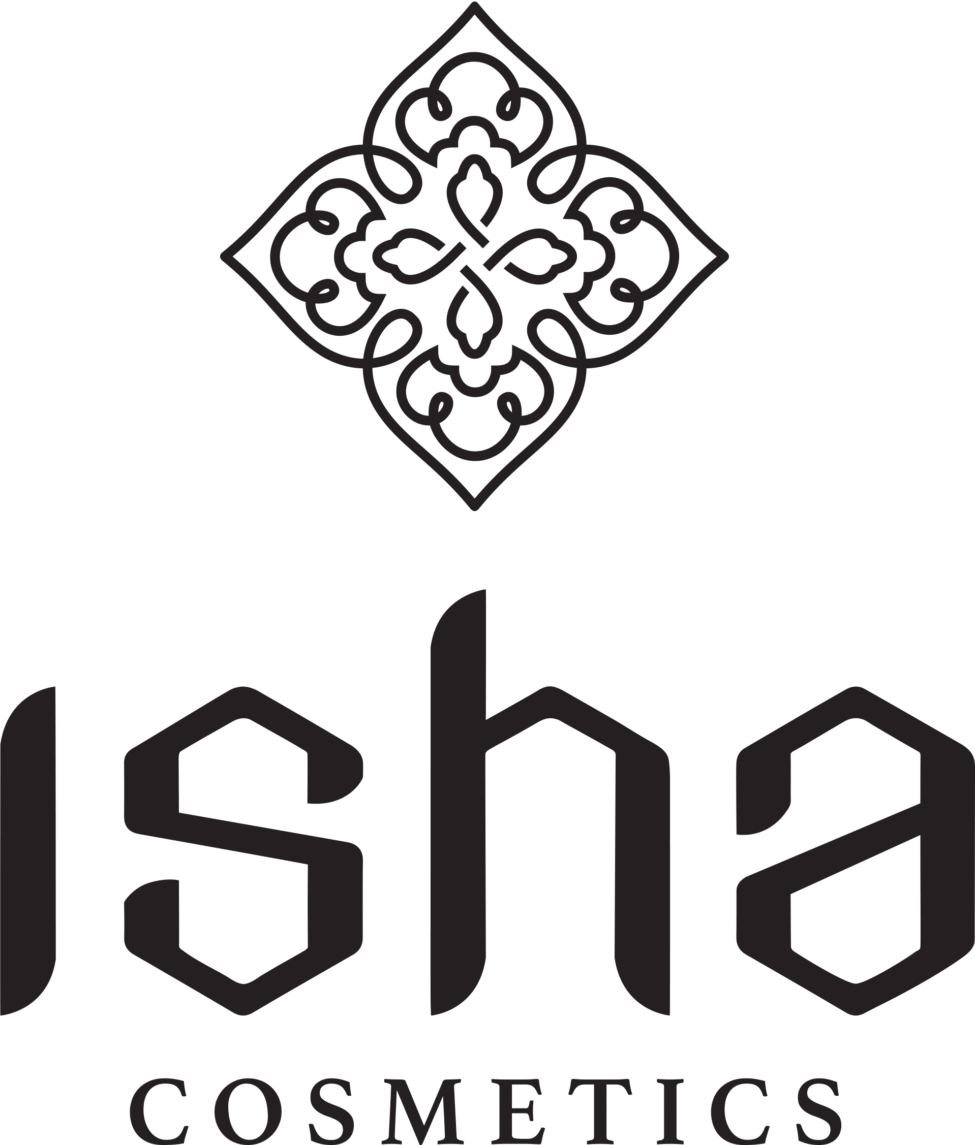 Company Overview - ISHA SRL