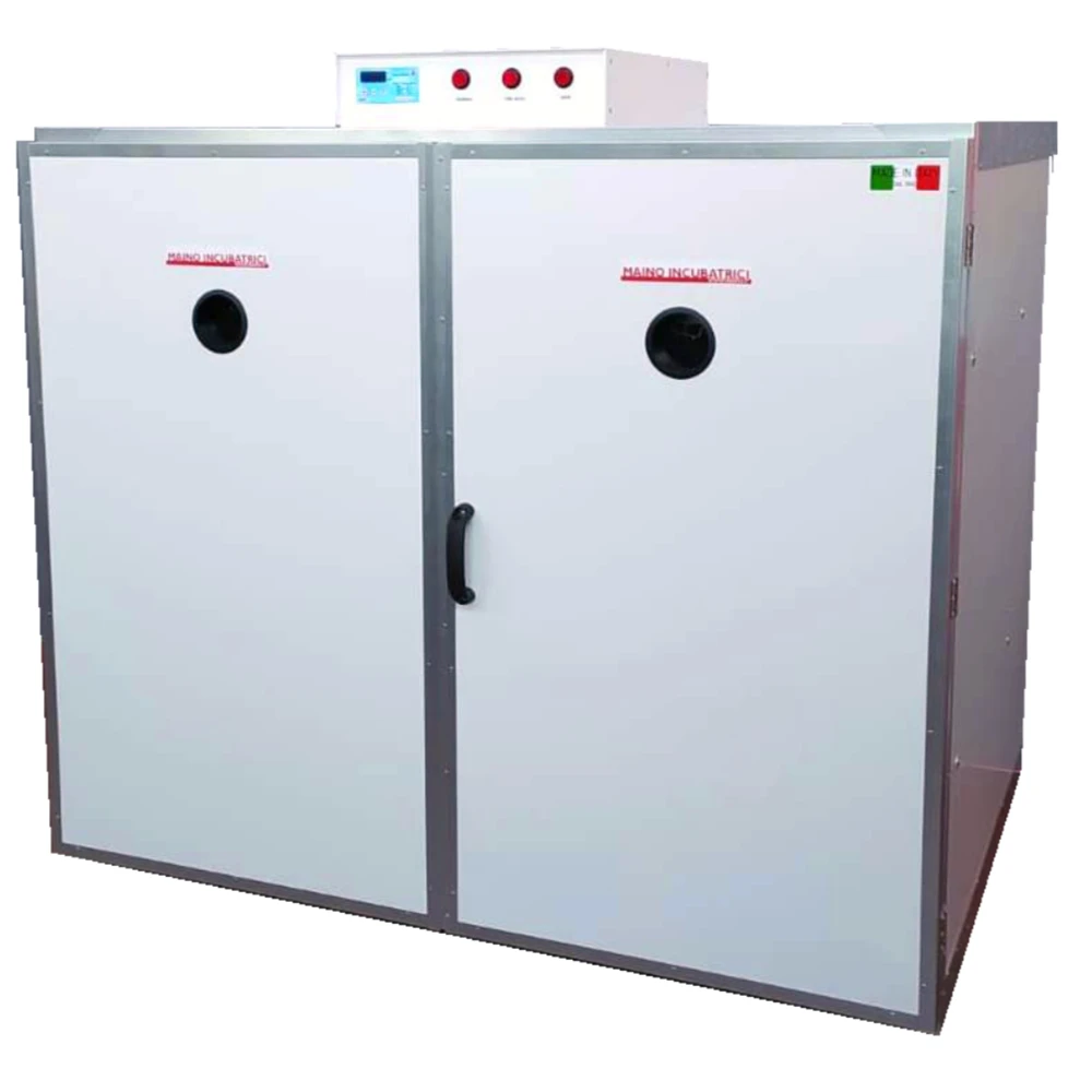 Professional Incubator Hatcher High Quality Italy Manufacture 3042 ...