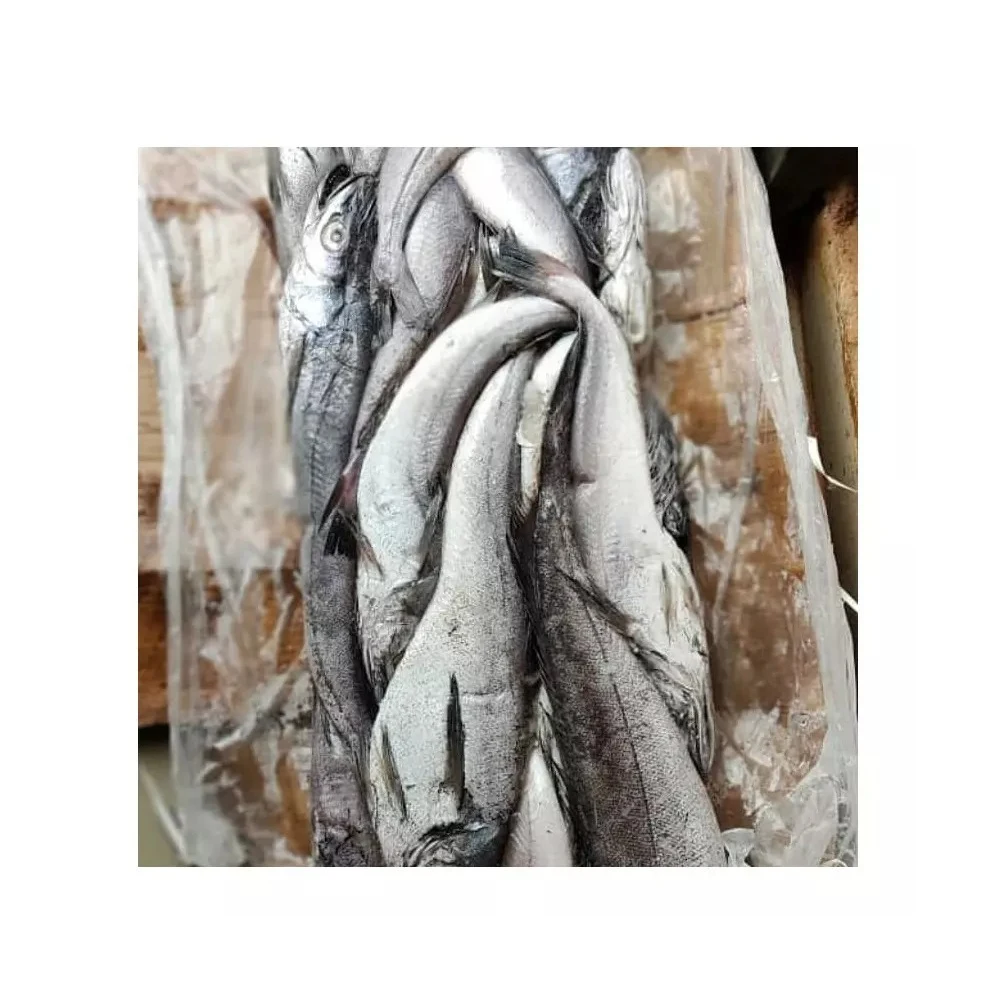 Frozen Hake Fish For Sale - Buy Wholesale Good Quality Frozen Hake Fish ...