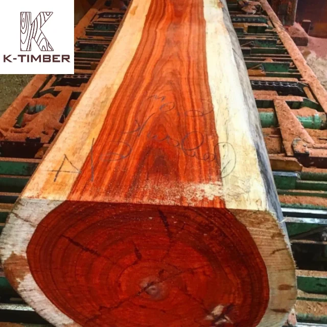 KTIMBER African Supplier Padouck Sawlog Natural Wood Hard Wood Raw ...
