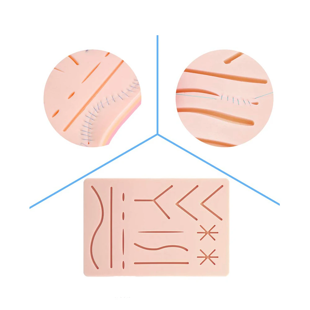 Lab Dissection Kit Advanced Lab Dissection Kit Stainless Steel For ...