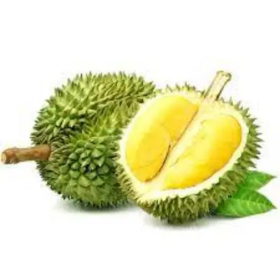 Fresh Durian/ Dried Durian/ Frozen Durian - Buy Durian Fruit Frozen ...